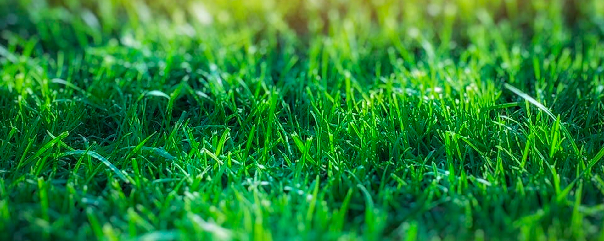 GRASS REINFORCEMENT - Rite Pave